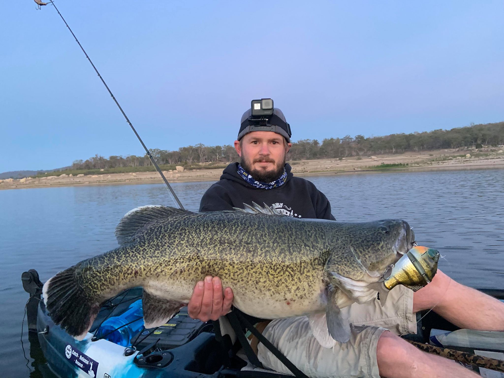 Freshwater Cod One Off Box – Tackle Club